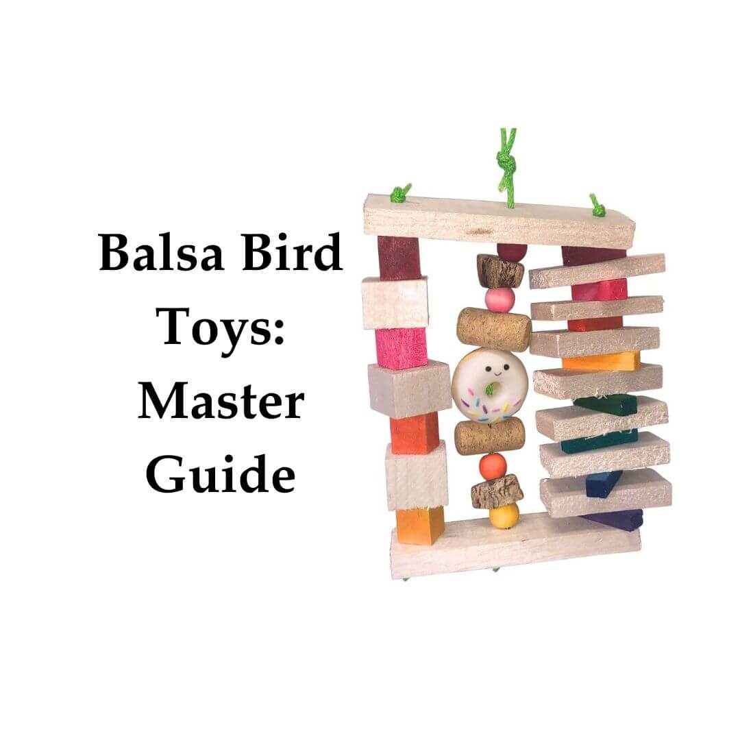 Balsa Bird Toys Guide for Parrots – PDS Parrot Shop