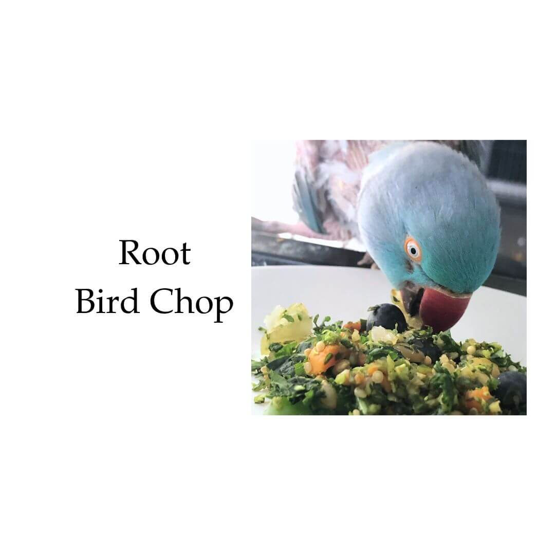 Root Bird Chop Recipe – PDS Parrot Shop