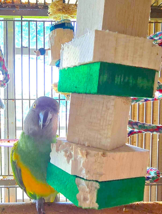 Big Bite balsa bird toys – PDS Parrot Shop