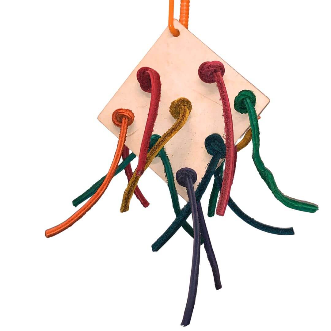 Rainbow Leather Bird Toy – PDS Parrot Shop