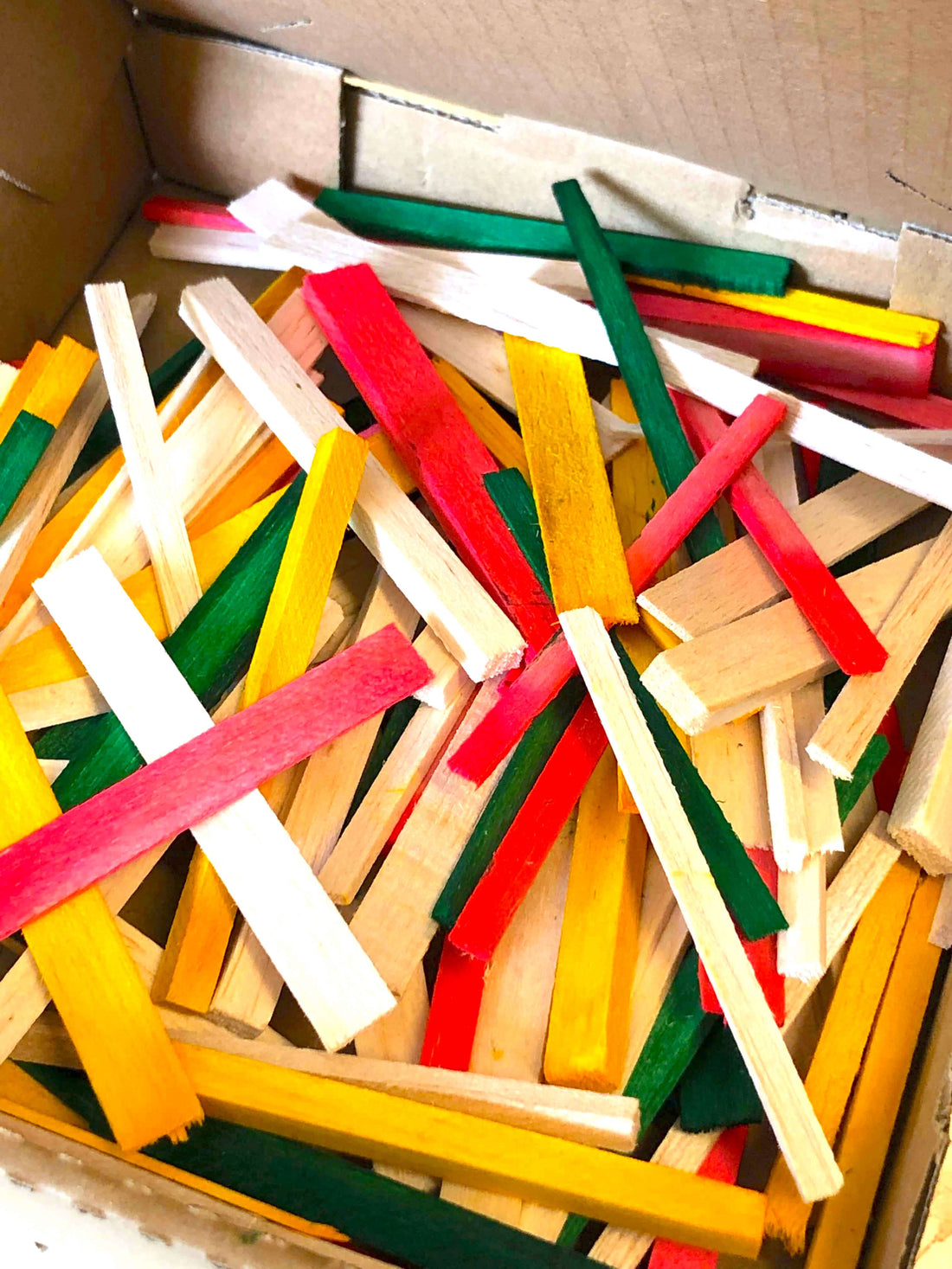 Pizza box with Balsa Sticks for Birds – PDS Parrot Shop