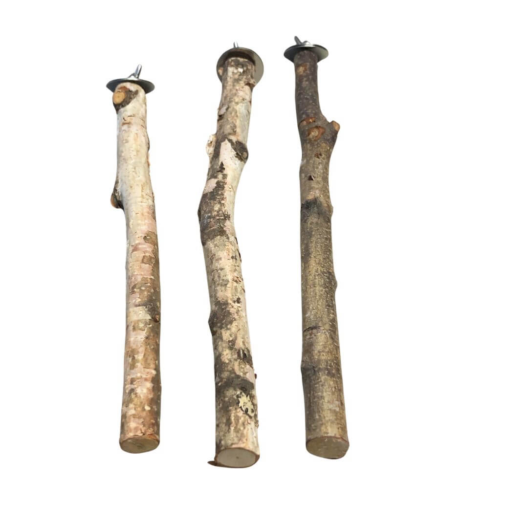 Natural Wood Perches for Birds – PDS Parrot Shop