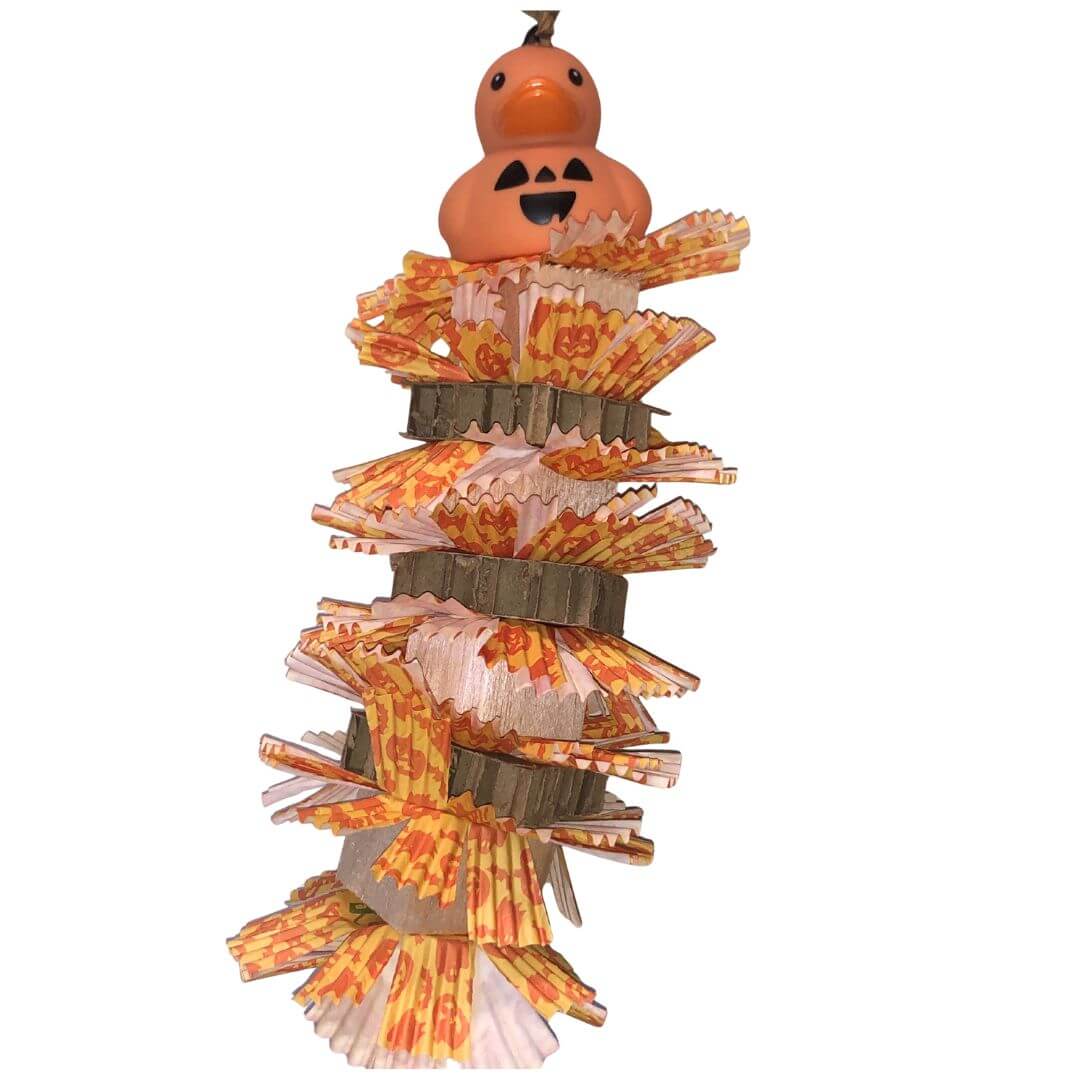 Halloween Bird Toys for Parrots – PDS Parrot Shop